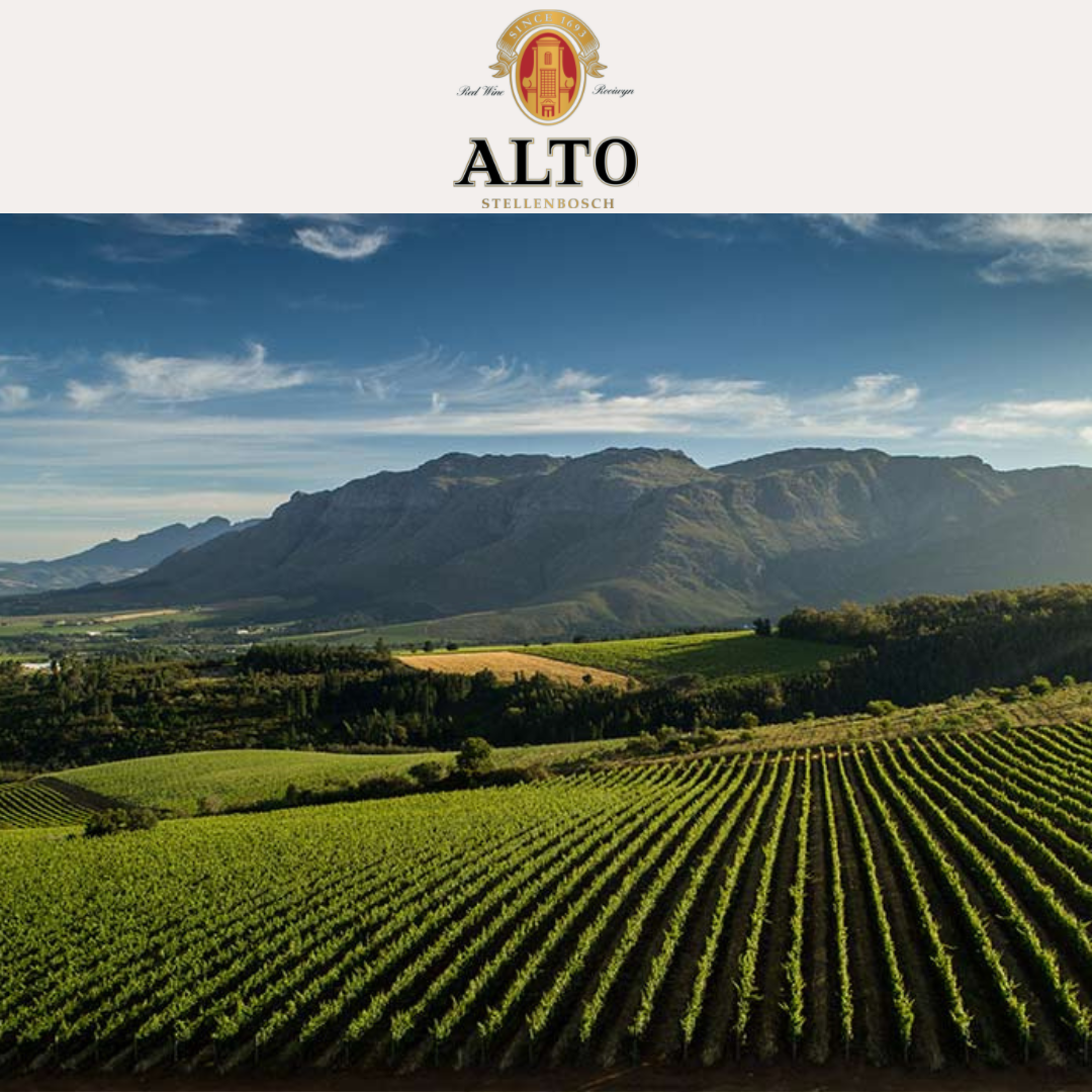 Alto - Perold Wine Cellar